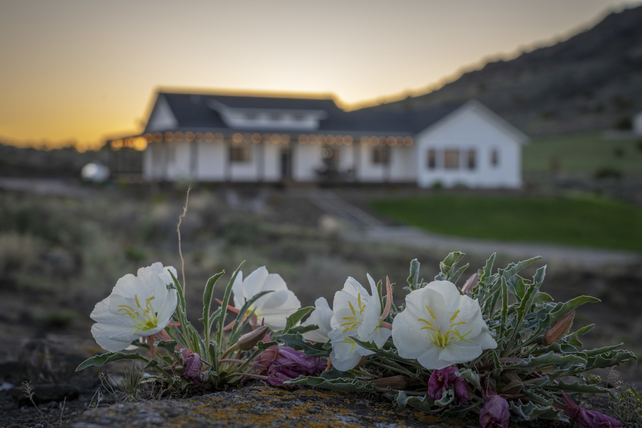 1032 E Butte Rd, Menan, ID 83434, USA